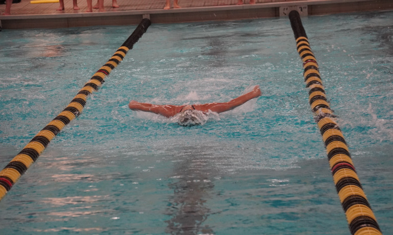 HAMILTON GIRLS SWIM AND DIVE MAKES STATE IN THE 200 MEDLEY RELAY ...