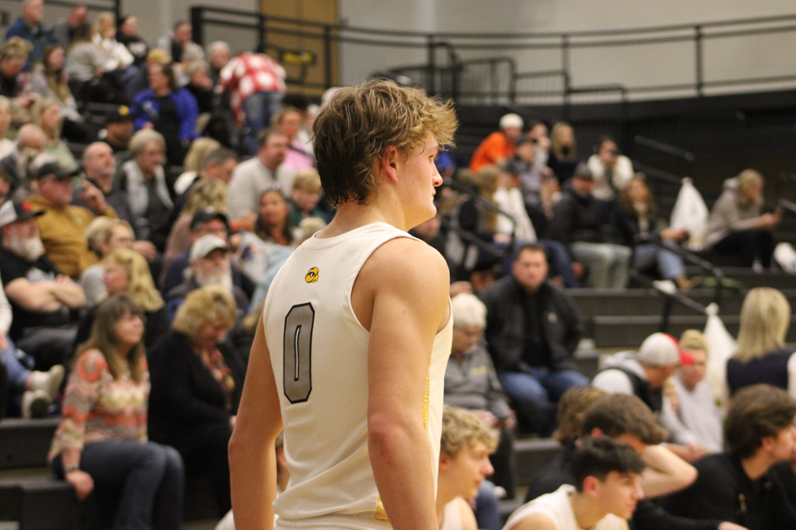 The Bounce Back: A Tale of Grit, Determination, and Redemption on the ...